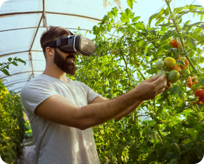 DISH Satellite TV – Official Site | 1-855-318-0572